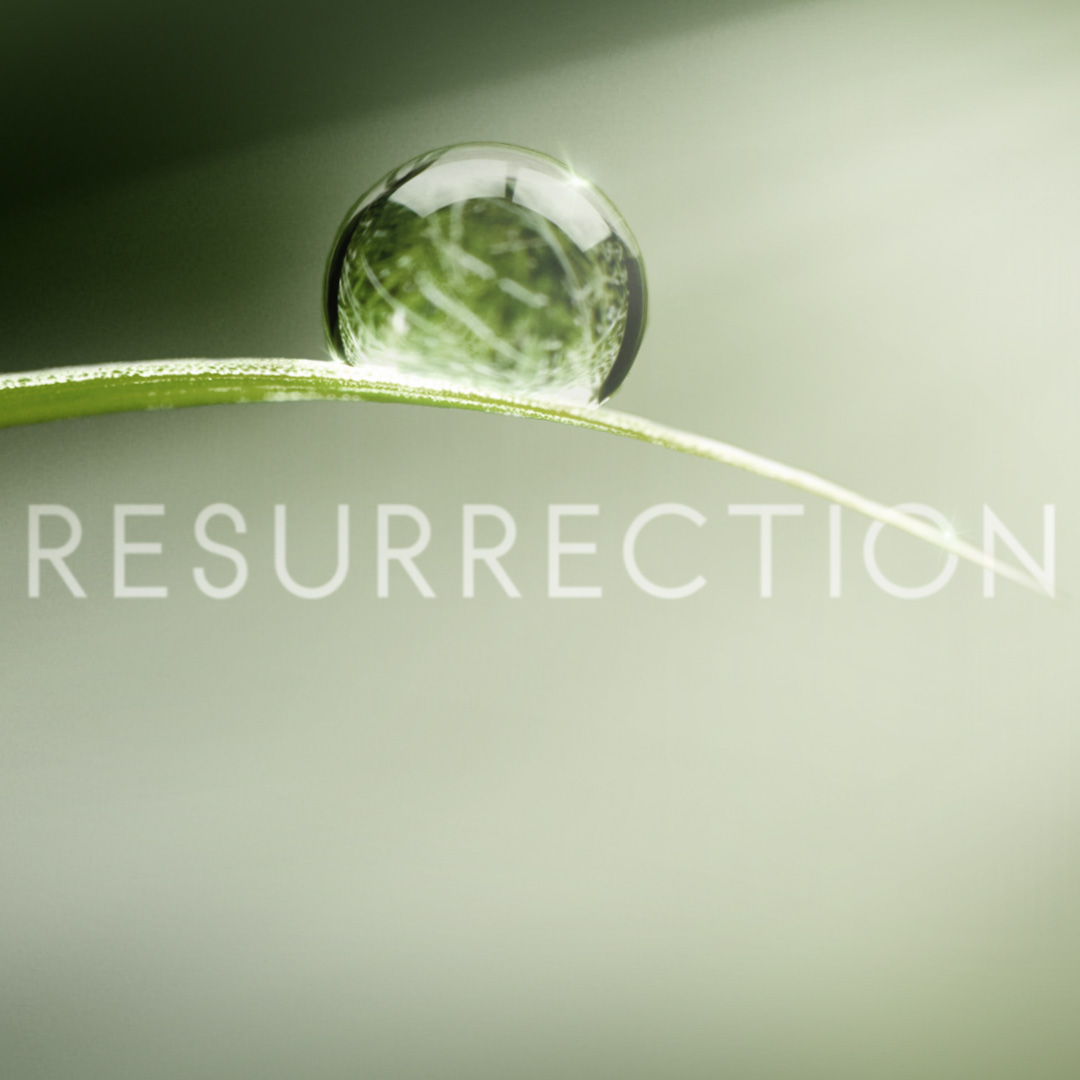 A Lenten Resurrection – Daily Theology