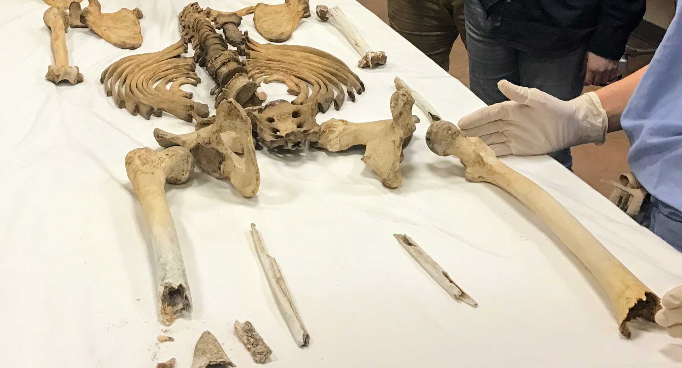 CAN THESE BONES LIVE?: PRACTICING SANCTUARY IN A VALLEY OF BONES ...